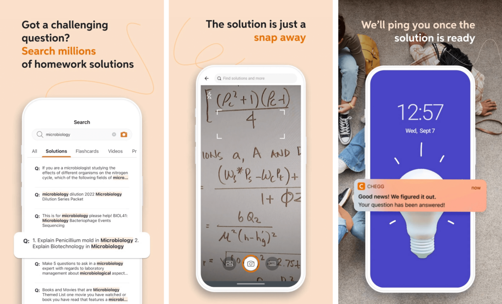 Build an App Like Chegg: An Ultimate Guide