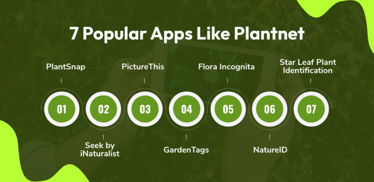 Steps Build an app like Plantnet in 2024